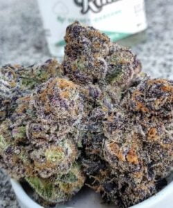 Breeder Cuts - Genetics Fanatics